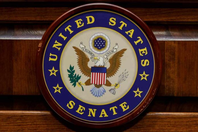 Freedom Caucus Star Eyes Senate | Capital Hill News